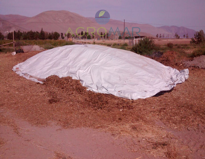 Silo - Agromar Insumos & Soluciones S.A.C Agromar Insumos & Soluciones ...